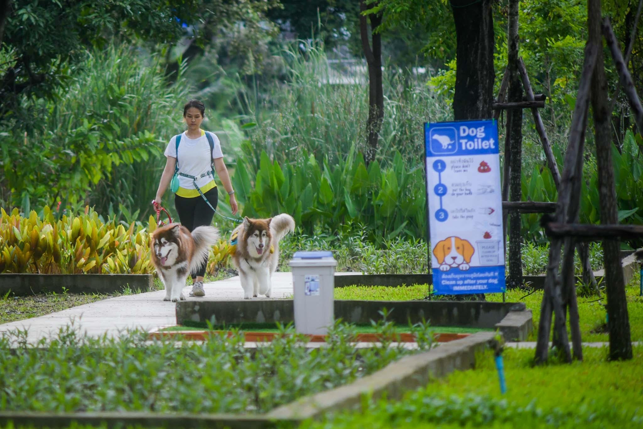 ‘Dog Park’ สวนเบญจกิติ จุดเช็กอินโฮ่ง โฮ่ง