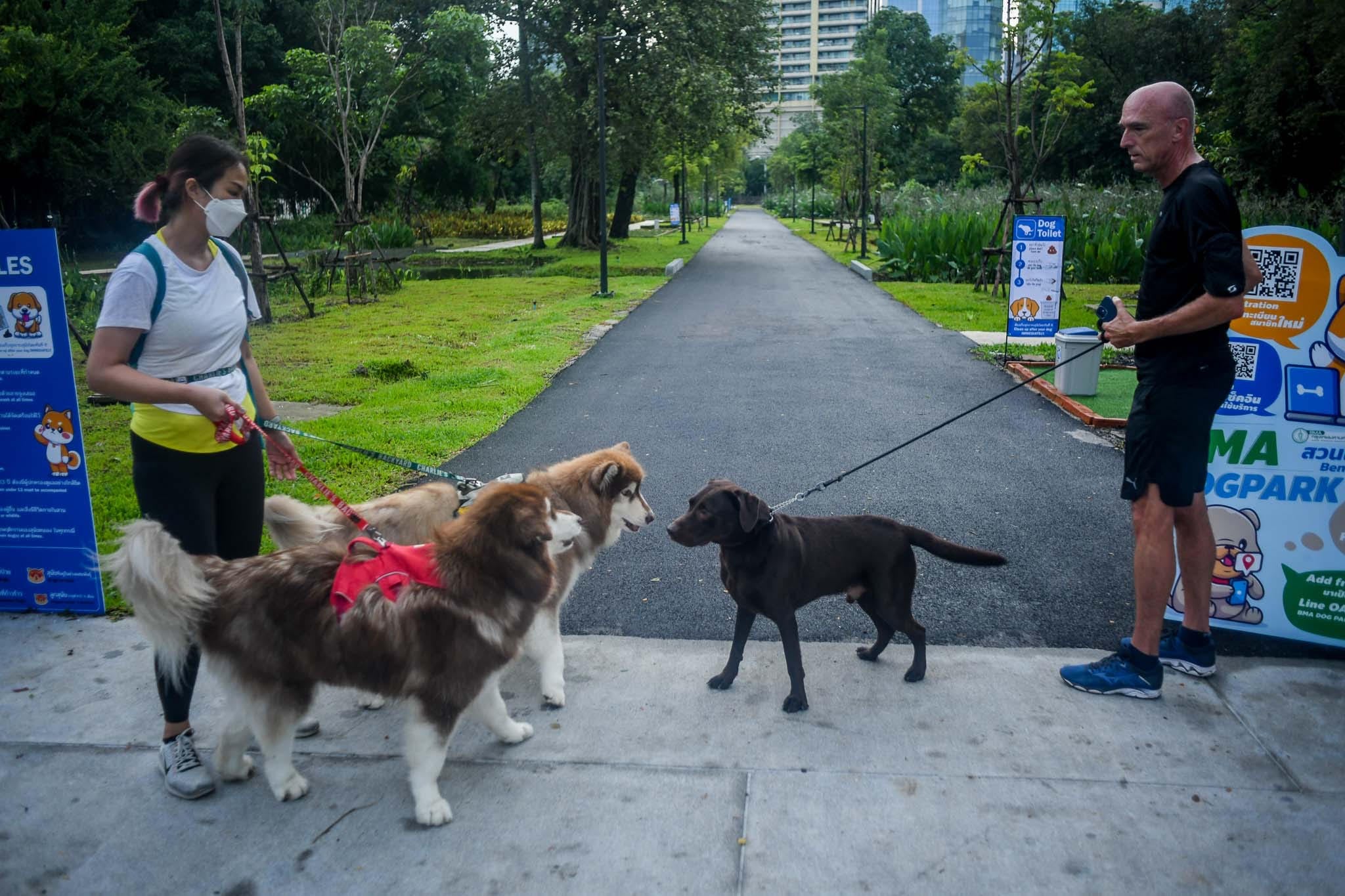 ‘Dog Park’ สวนเบญจกิติ จุดเช็กอินโฮ่ง โฮ่ง